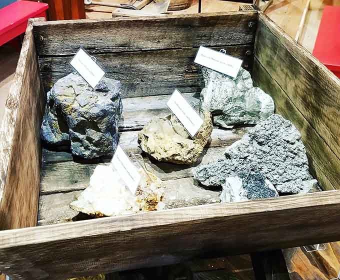 These aren't decorative rocks — they're the actual minerals that built an entire regional economy from the ground up.