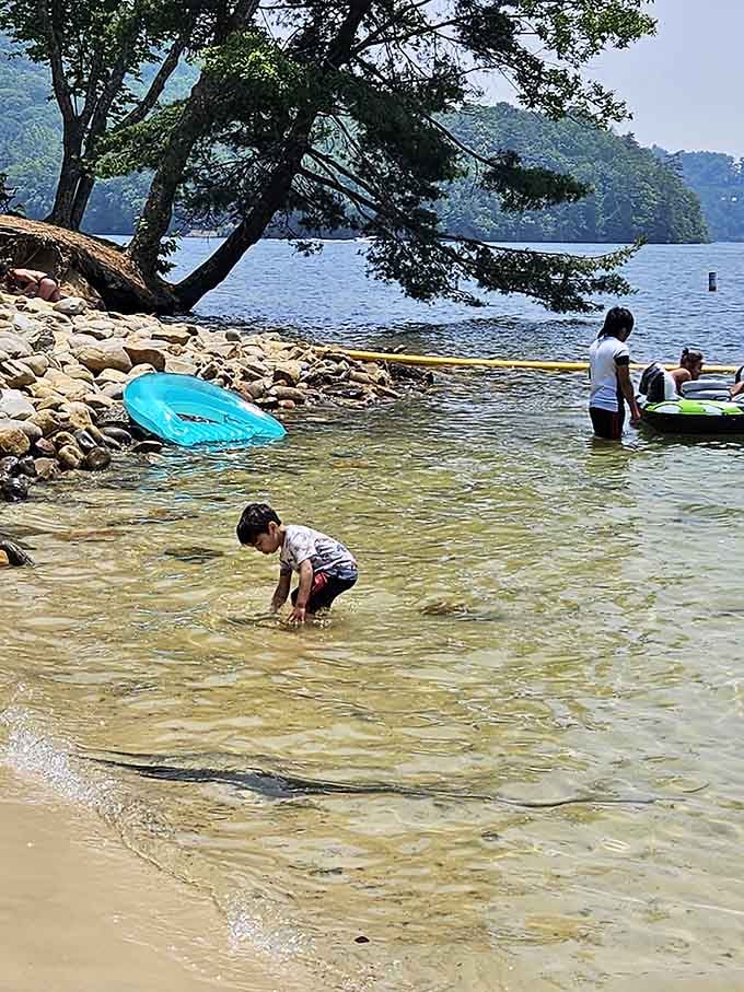 Kids discovering that clear, cool lake water is the original theme park, no wristband needed.