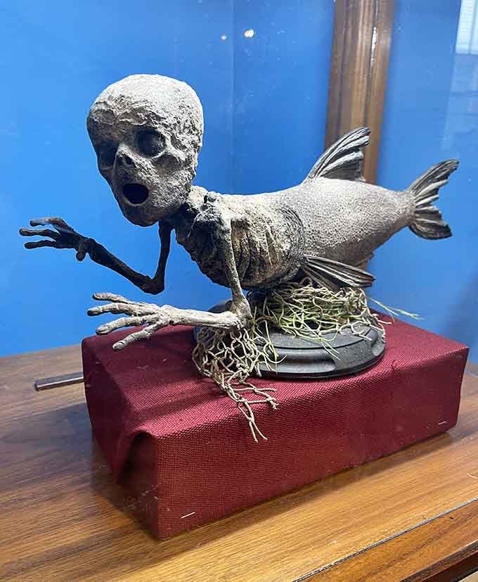 This little creature is what happens when mythology and taxidermy have a very strange conversation together.