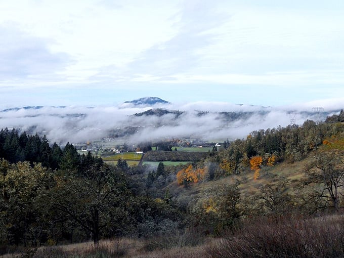 Morning fog wrapping around the valley like a cozy blanket, nature's way of saying slow down and look around.