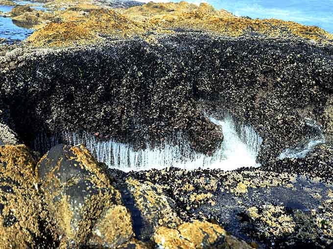 The barnacle-encrusted rim of this geological wonder tells stories thousands of years in the making.