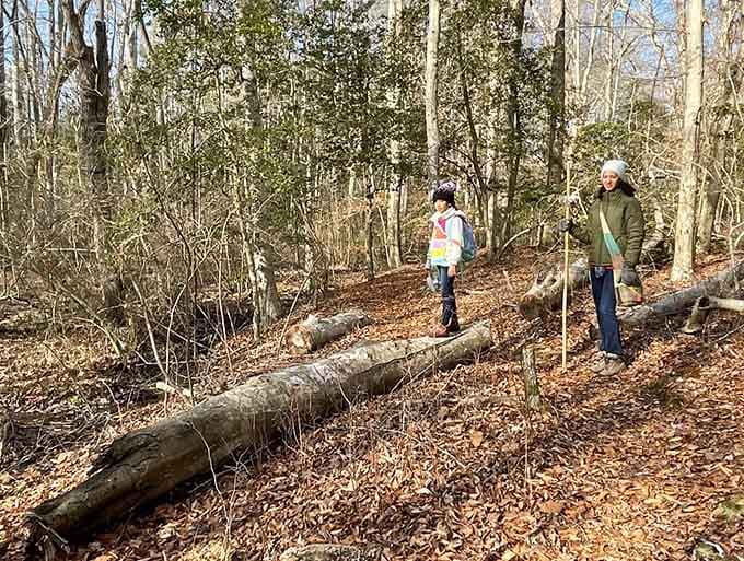 Generations walking together through the woods&mdash;proof that some activities never go out of style.
