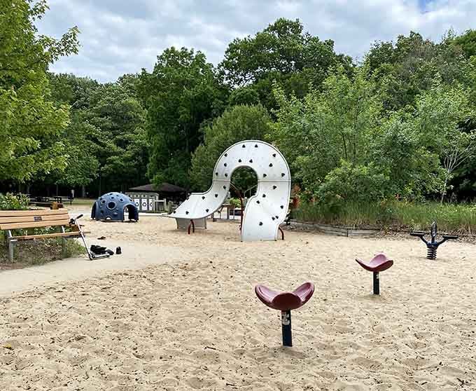 A curved climbing structure that looks like abstract art but functions as pure childhood joy in motion.