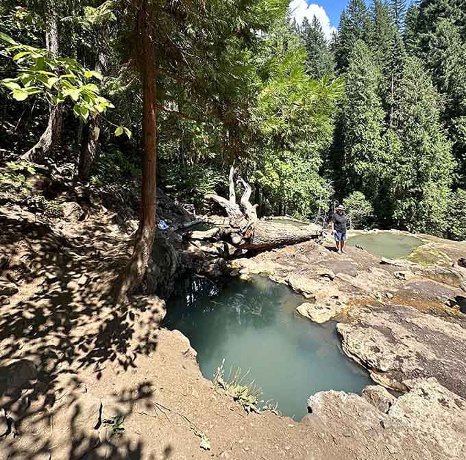 Multiple pools at different temperatures mean you're basically choosing your own adventure here.