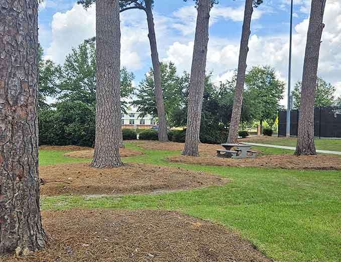 McKey Park offers shaded picnic spots where your budget can relax as much as you do.