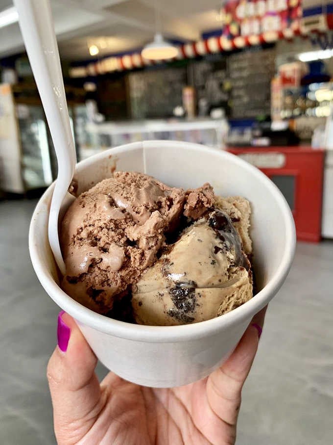 Two scoops of rich, chocolatey goodness that prove some flavor combinations never need an upgrade.