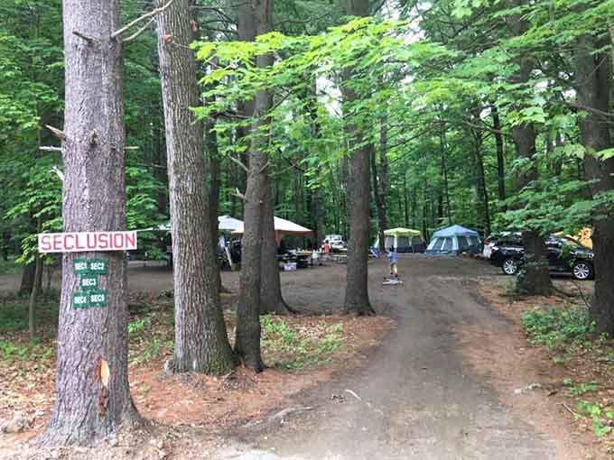 Tucked under the trees, these tent sites prove that "Seclusion" isn't just a sign. It's a promise.