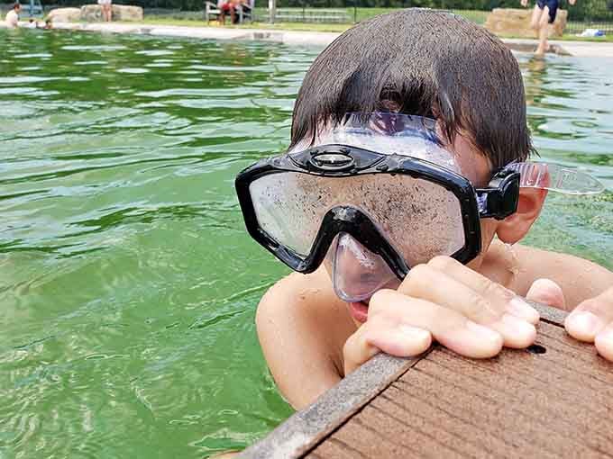 Future Jacques Cousteau spotted at Webber, peering over the dock like the pool is hiding its deepest secrets.