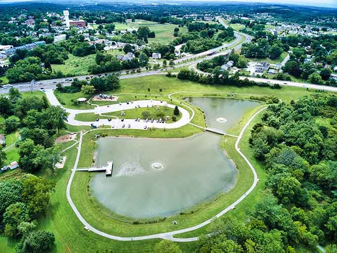Westminster Community Pond sits like a deep breath in the middle of a busy world, perfectly still.