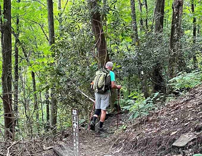 The trail signs say "slow," but your excitement will be telling you something completely different.