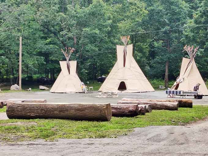Teepees standing tall among the trees, quiet and striking against the deep green forest backdrop.