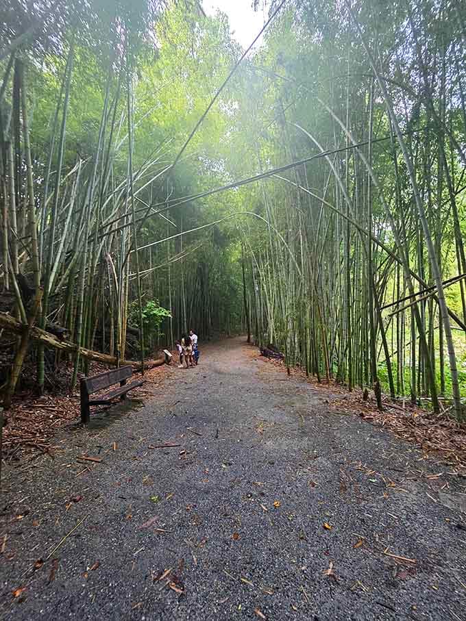 A family strolls through living green archways, proving the best adventures don't require a boarding pass.