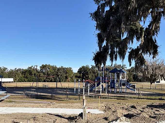 A playground under Spanish moss and open sky. Childhood looks pretty great in Wildwood.
