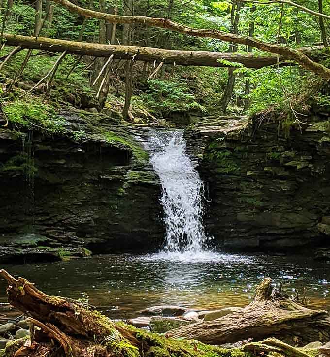 Tucked deep in the forest, this little waterfall is the kind of discovery that makes you feel like an explorer.