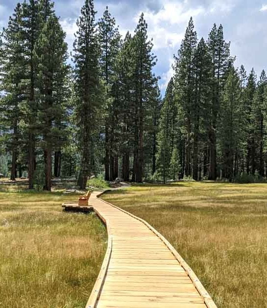 553 acre california park ftr