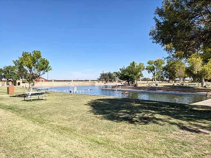 Shady trees, green lawns, and a long spring-fed pool in the West Texas desert, because sometimes life surprises you beautifully.