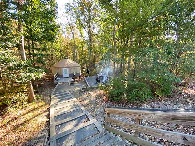 Campfire smoke curling up through autumn leaves at Cloudland Canyon is basically the official scent of a perfect Georgia weekend.