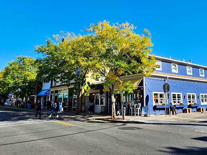Golden autumn trees frame Greenport's corner like nature decided to add its own Instagram filter to perfection.