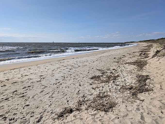 Natural seaweed patterns decorate the pristine sand along this wild stretch of protected Delaware Bay coastline.