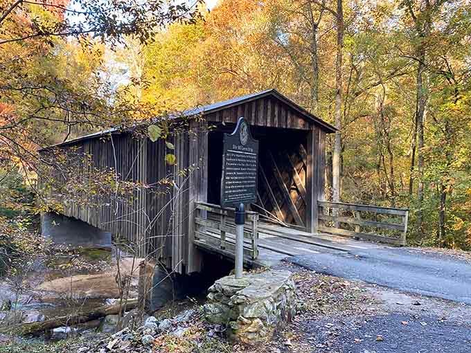 Autumn's golden canopy frames this bridge like nature's own picture frame, making every angle absolutely Instagram worthy without filters.