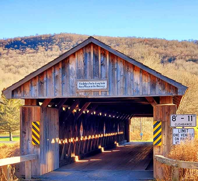 Golden afternoon light pouring through the wooden beams turns Fitch's Bridge into something that feels more like a cathedral than a crossing.