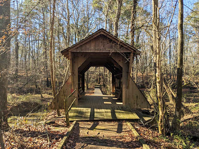 Bare winter trees part like curtains, revealing this mossy boardwalk bridge like a scene from Narnia.