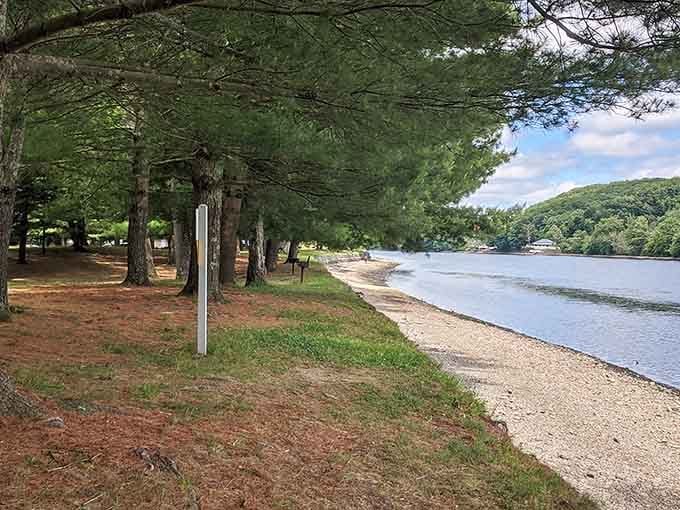 Tall pines line the Housatonic riverbank at Indian Well, casting cool shadows over a quietly beautiful shoreline.