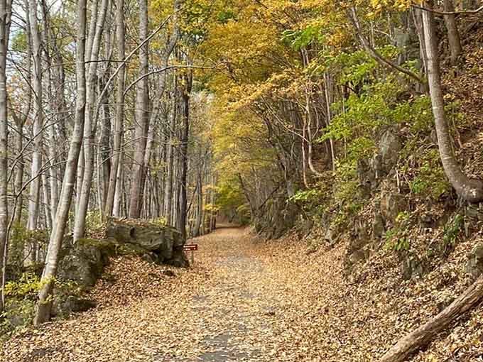 Golden leaves blanket the New River Trail like nature's own welcome carpet through the Alleghany foothills.