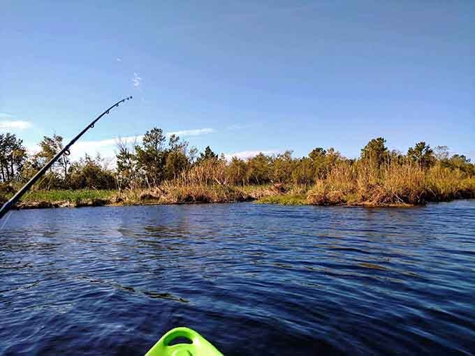 A fishing rod points skyward from the kayak as golden reeds line the shore under brilliant blue skies.