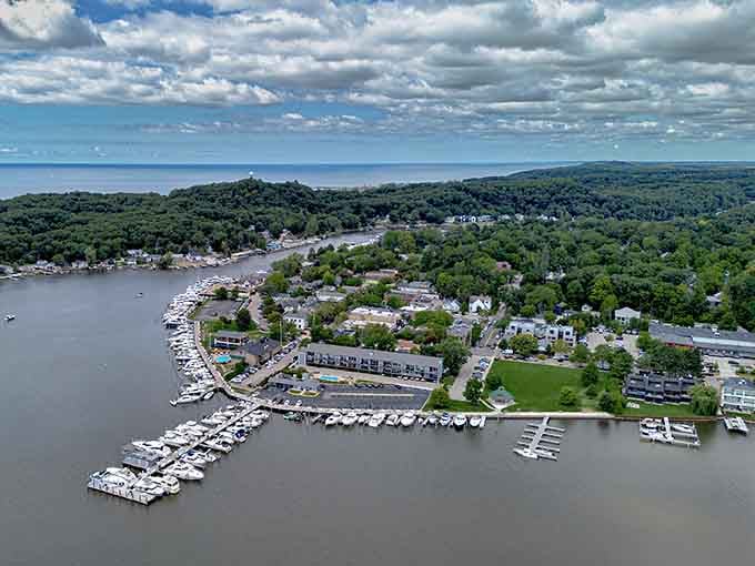 Saugatuck's marina wraps around the Kalamazoo River like a warm hug, with Lake Michigan glittering just beyond the tree line.