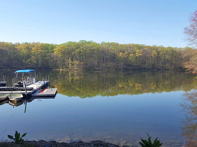 That glassy spring reflection of budding trees in Seneca Creek's still water is the most peaceful thing you'll see all week.