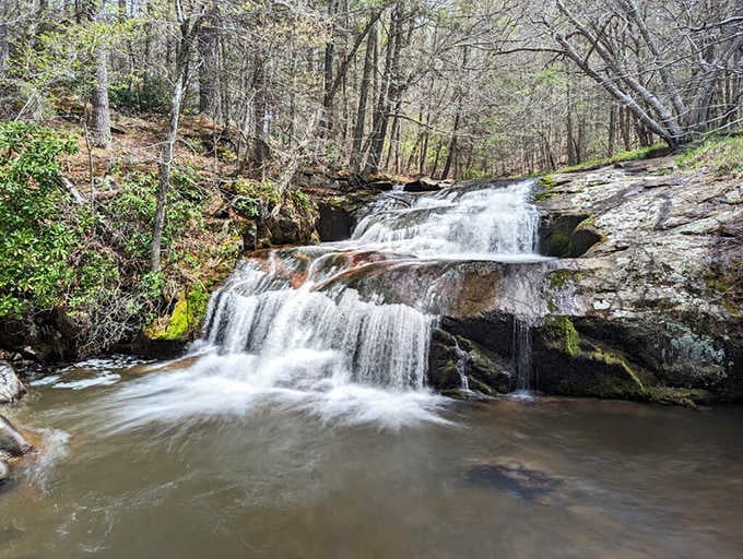 Gentle cascades over rust-colored rock create a peaceful scene where the forest feels untouched by time itself.