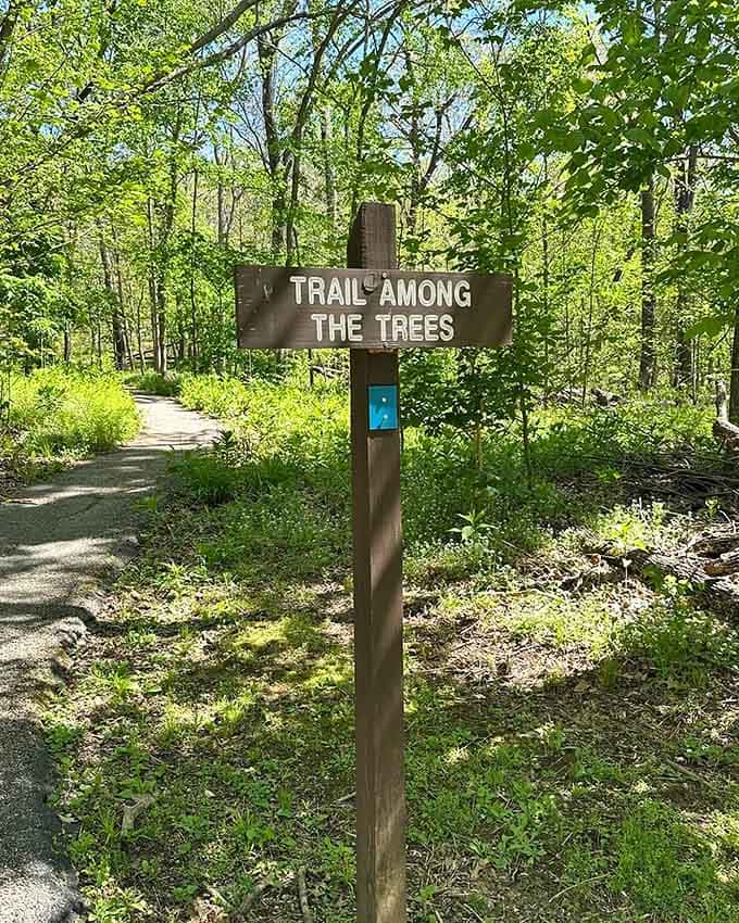 That hand-painted wooden sign says it all, beckoning you down a sun-dappled path into one of Missouri's most peaceful green sanctuaries.