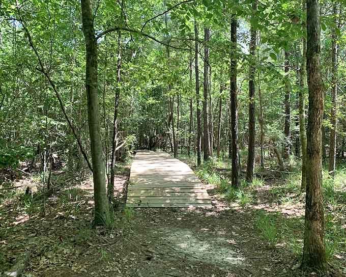 Sunlight filters through tall East Texas pines onto a quiet boardwalk that practically begs you to slow down.