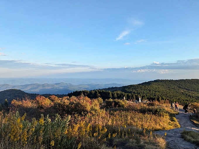 Golden hour light spills across the autumn hillside at Black Balsam Knob like someone turned up the warmth dial.