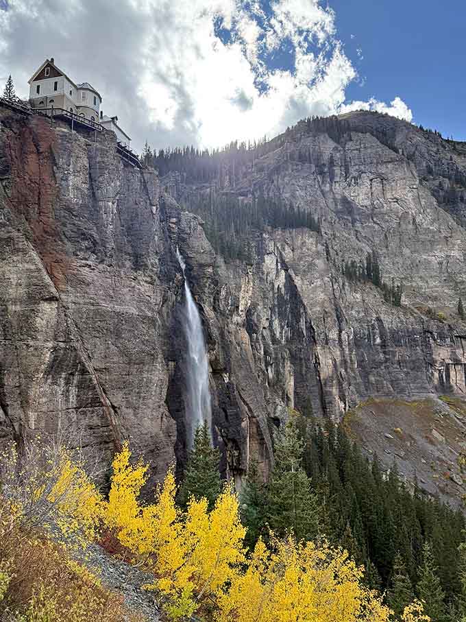 Golden aspens frame the falls in autumn, turning this Telluride classic into a scene that belongs in a museum, not just your camera roll.