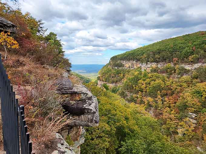 Standing at Cloudland Canyon's rim, with canyon walls dropping away and fall color blazing across the ridges, is genuinely breathtaking.
