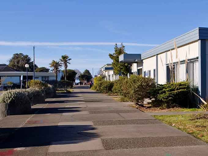 Palm trees and a wide coastal sidewalk stretch toward the horizon, quietly whispering that the ocean is close.
