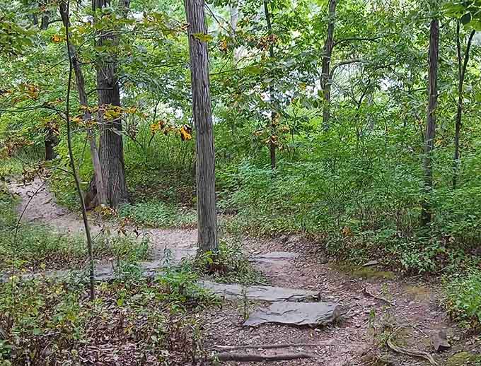 Flat stones and dappled forest light guide your feet toward footprints left by creatures that predate everything.