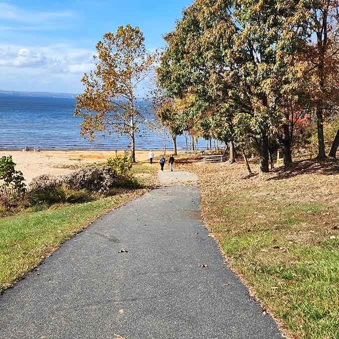 Autumn-tinged trees frame two walkers heading toward the bay's shimmering shoreline, proof that Elk Neck saves its best colors for October.