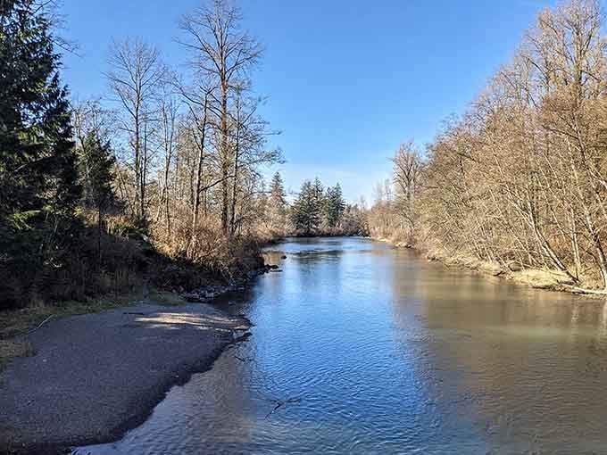 Winter light dances on peaceful water where bare trees stand guard like nature's own welcoming committee.
