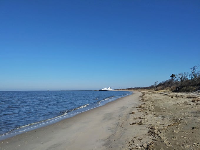 The quiet bay side offers endless shoreline exploration where nature remains refreshingly undisturbed and authentic.