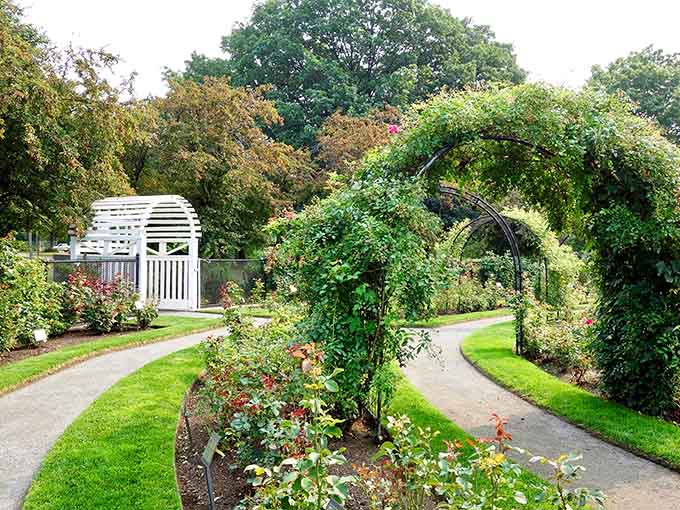 Winding paths through blooming rose beds invite leisurely strolls where every turn reveals another burst of fragrant color.