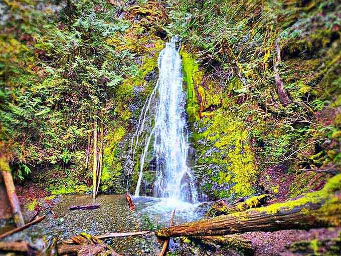 The falls spread wide across vibrant green rock, each stream finding its own path down the mossy face.