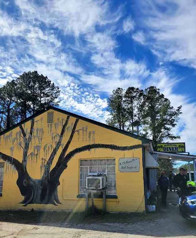 A stunning hand-painted live oak mural sprawling across sunny yellow walls tells you this diner has serious artistic soul.