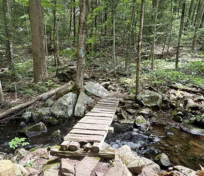 That small plank bridge crossing a rocky Naugatuck stream is simple, sturdy, and somehow deeply satisfying to walk across.
