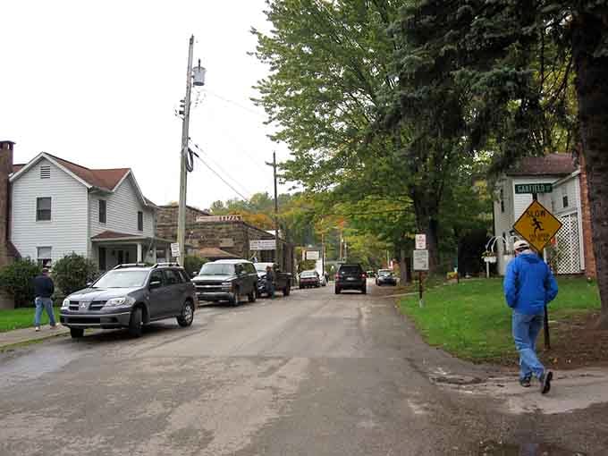 Towering trees shade this quiet street, where a casual stroll feels like stepping into a simpler, gentler era.