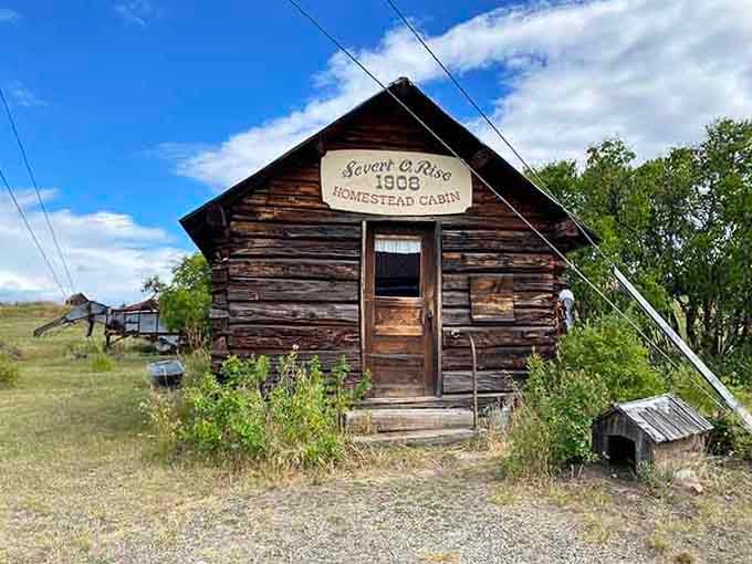 The homestead cabin's hand-painted sign tells stories of frontier families who built lives from scratch and determination.
