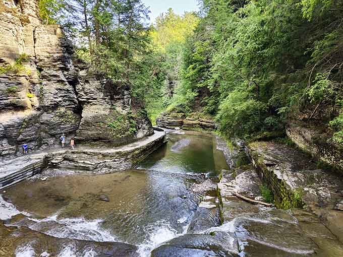 Towering gorge walls draped in green ferns frame a rushing creek below like nature's own cathedral nave.