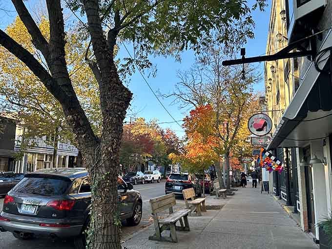 The 10 Most Charming Small Towns In Michigan Will Steal Your Heart The ...
